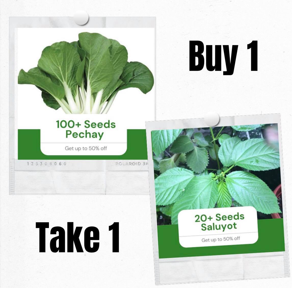 Binhi Pantanim Buy 1 Take 1 Pechay and Saluyot Vegetable Seeds | Lazada PH