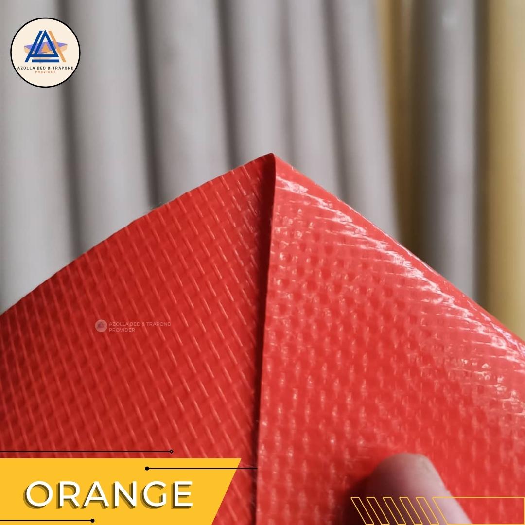 SALE!! 8x10x4ft WITH/WITH OUT DRAINAGE Original Maruyama (Azolla Bed ...