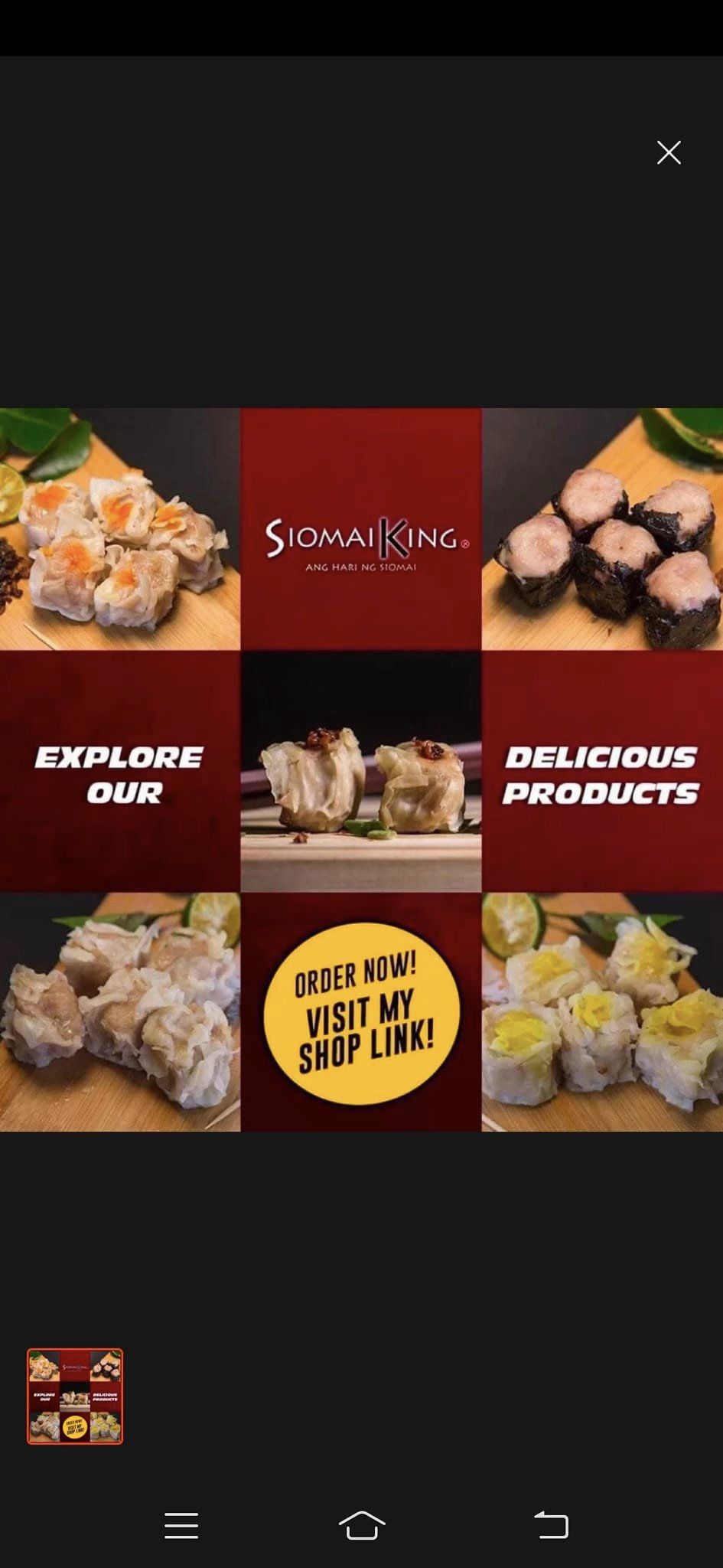 Siomai King - Hongkong Siomai | Lazada PH