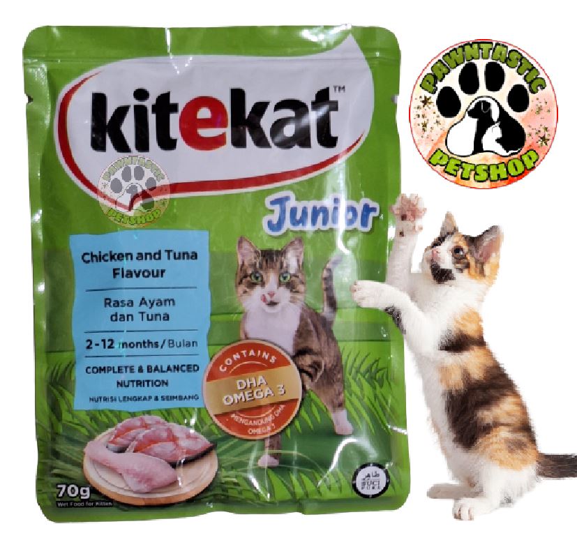KiteKat Cat Wet Food 70g - Kitten Chicken & Tuna | Lazada PH