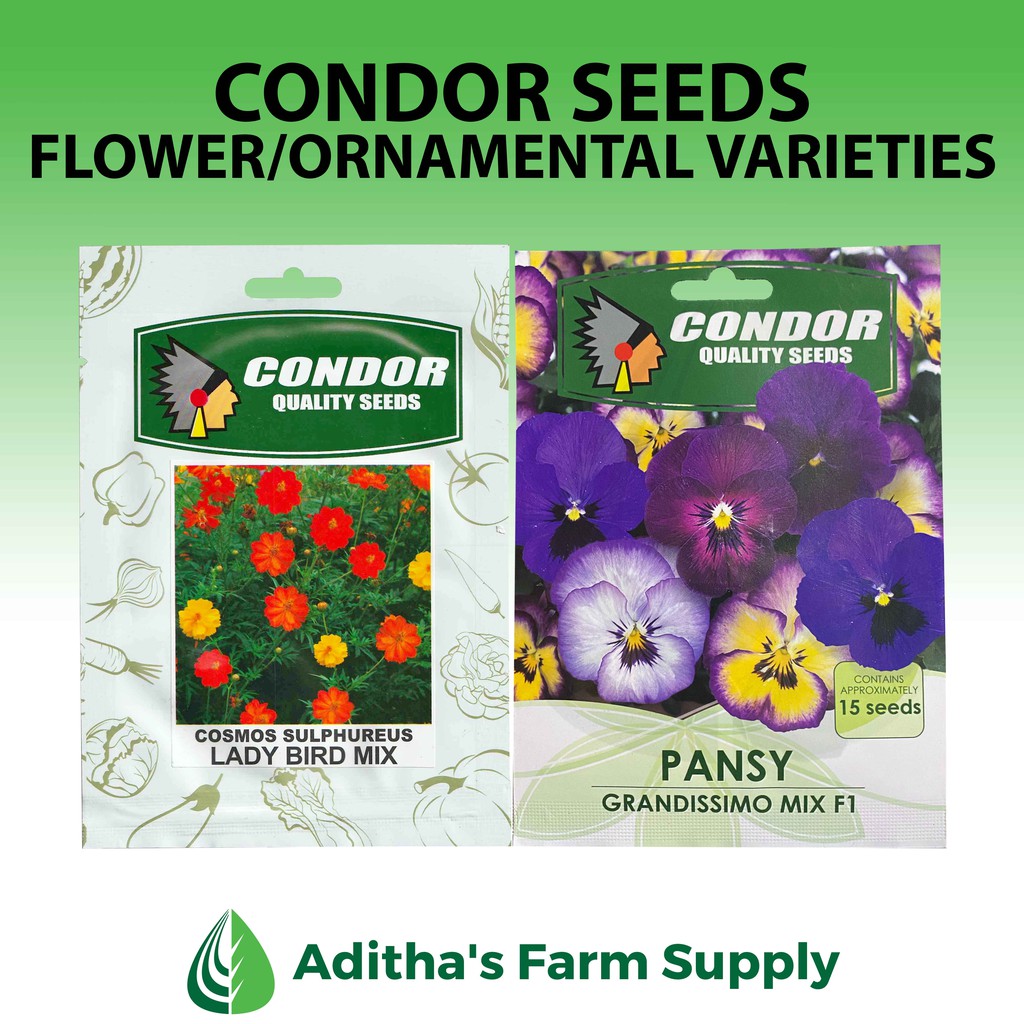 (It's a seed, not a plant!)Set B: Condor Seeds: Flower / Ornamental ...
