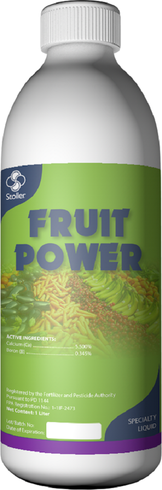 Stoller Fruit Power | Lazada PH