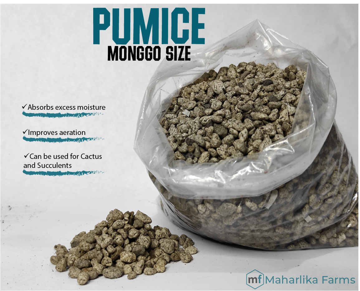 [1kg] Pumice Stone for plants. Can be mixed with organic soil medium ...