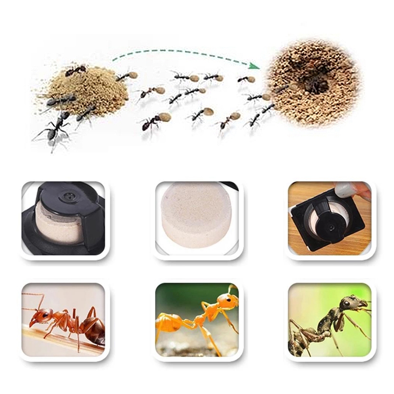 6Pcs/Lot Ant Agent Ant Killing Powder Bait Ants Repellent Repeller Trap ...