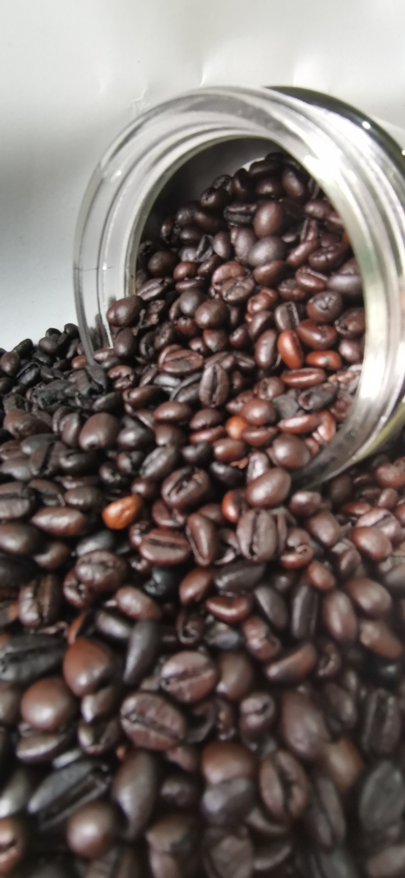 Premium Barako Coffee Beans | Lazada PH