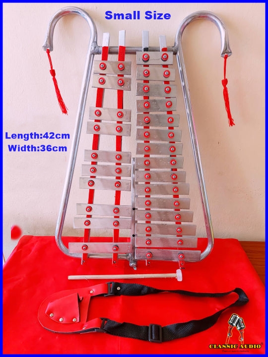 Davis Lyre Xylophone With Bag, Lyre beater and Strap (Medium, Small ...