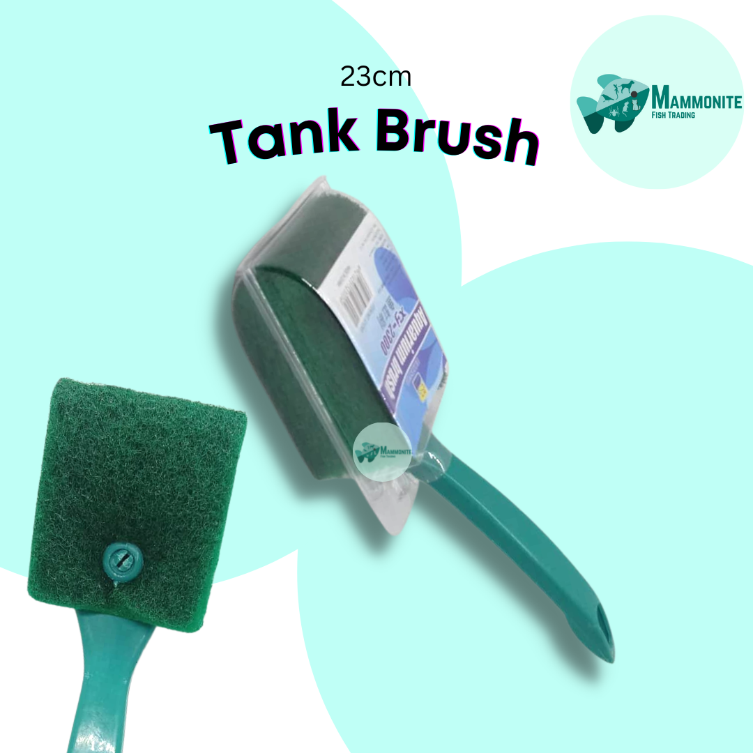 Aquarium Tank Brush Cleaner Tool Cleaning Scrub 23cm Sponge | Lazada PH