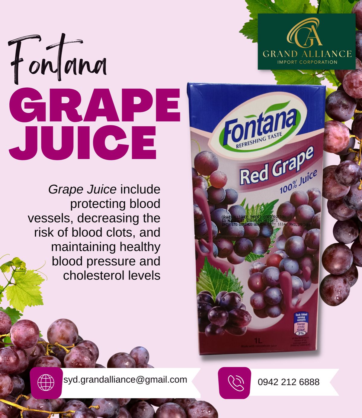 Fontana Red Grape Natural Refreshing Juice 1L | Lazada PH