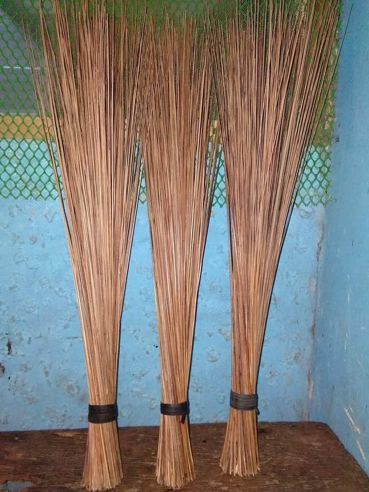 Walis Tingting Regular Size | Lazada PH