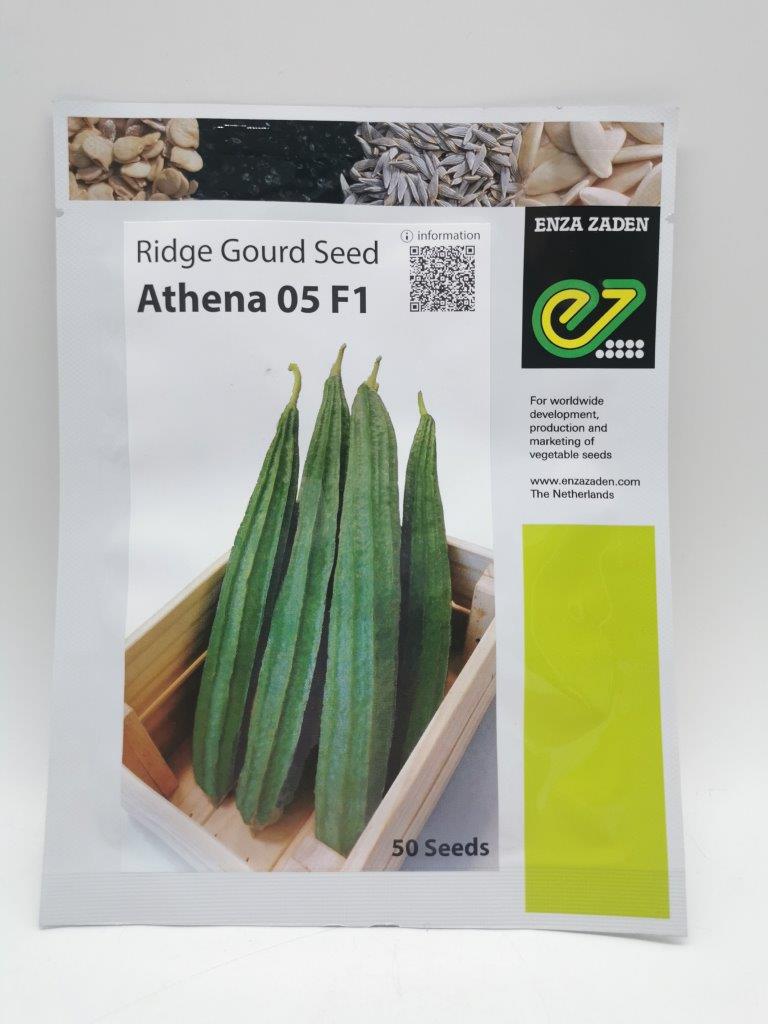 ENZA ZADEN RIDGE GOURD ATHENA SEEDS ( 50 SEEDS ) | Lazada PH
