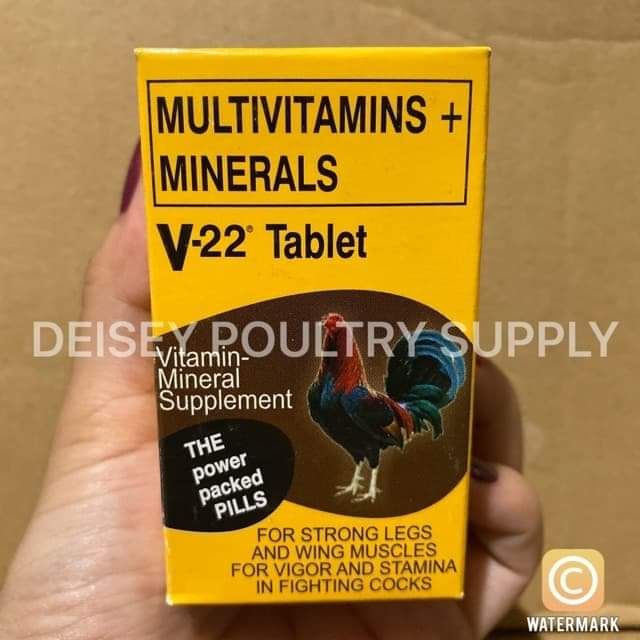 V22 Tablet for gamefowl (100 TABLETS) | Lazada PH