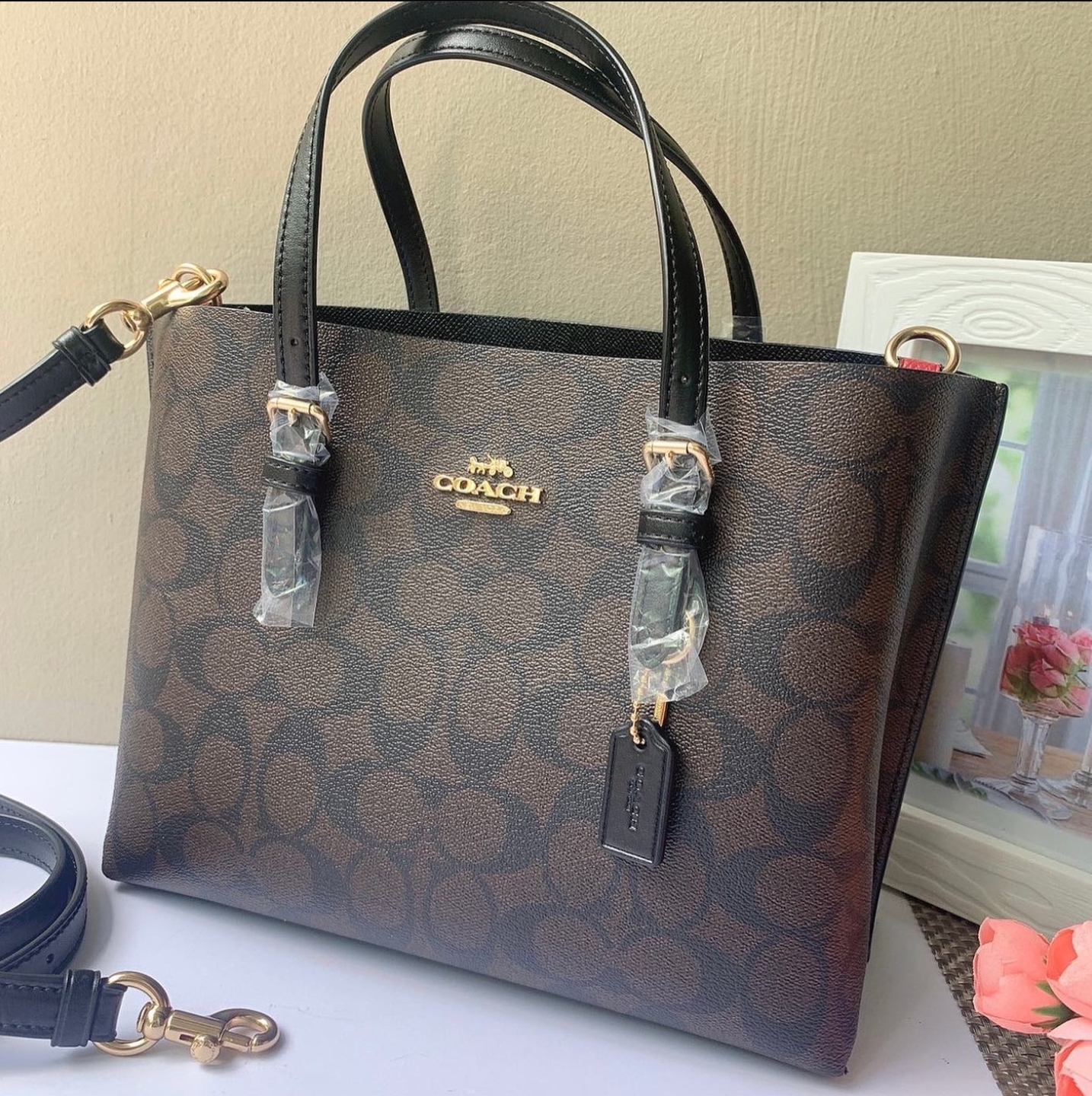 Coach C4250 Mollie Tote 25 in Signature Canvas Women's Crossbody Bag ...