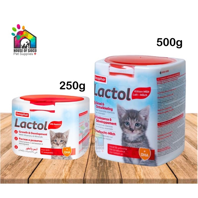 Lactol Kitten Milk Replacer 250g-500g | Lazada PH