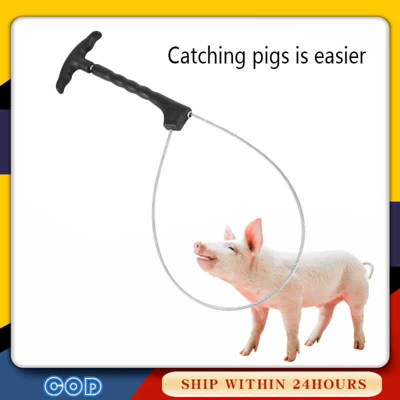 Steel Pig Holder Pig Squeezer Holder Livestock Snare Trap with Handle ...