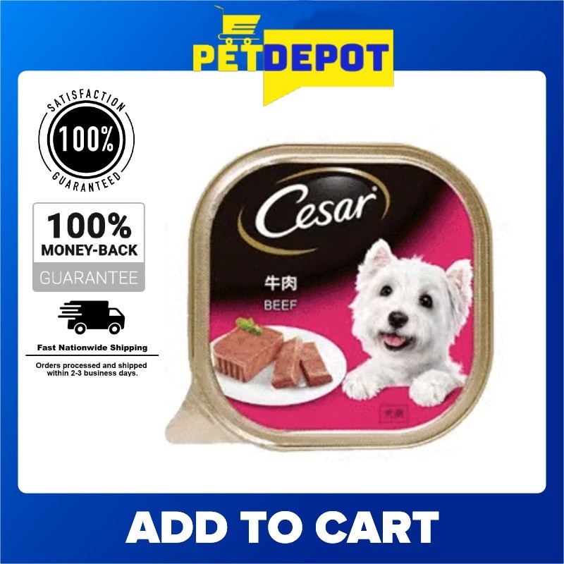 Cesar Flavor Wet Dog Food 100g | Lazada PH