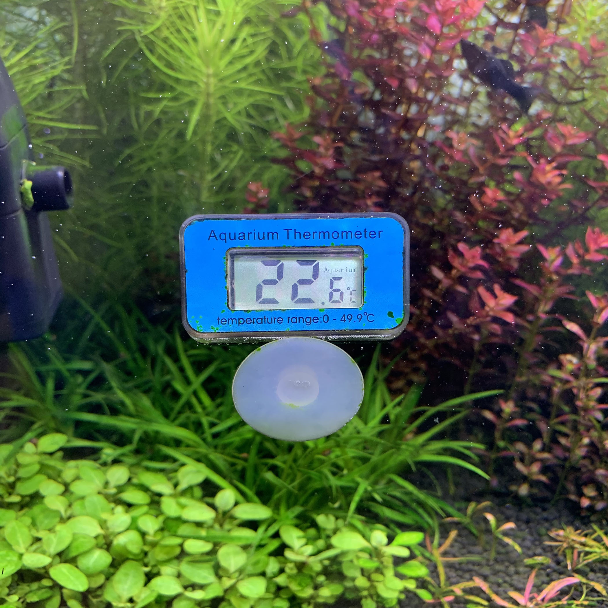 Digital Thermometer | Lazada PH