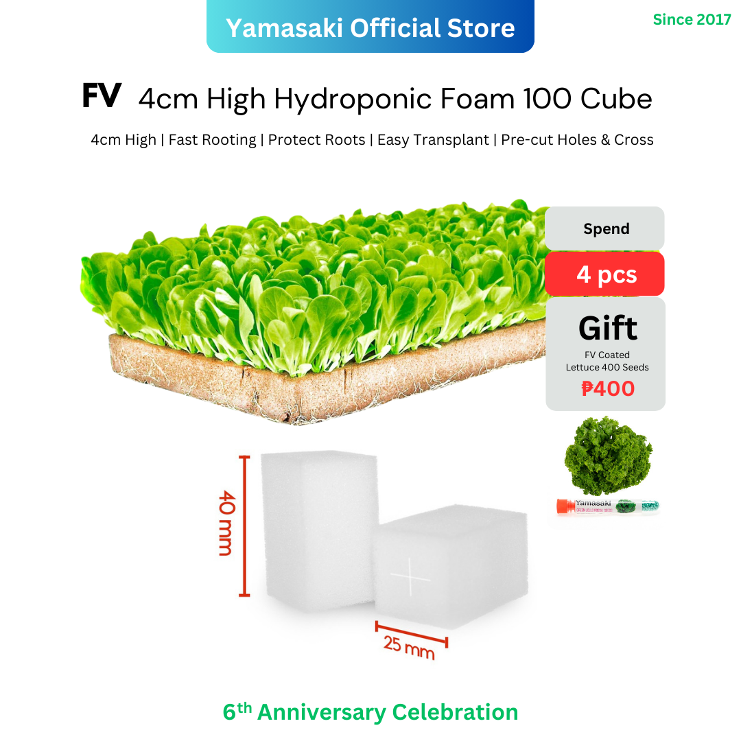 005 FV 4cm High Hydroponic Foam 100 Cubes | hydroponics foam ...