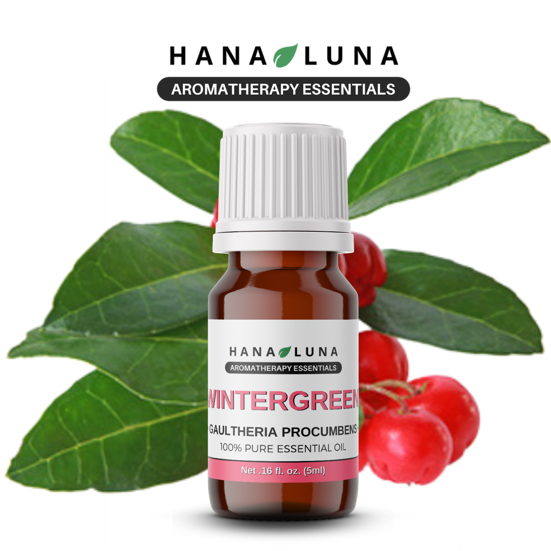 Wintergreen Essential Oil, 100% Pure Therapeutic Grade, All Natural ...
