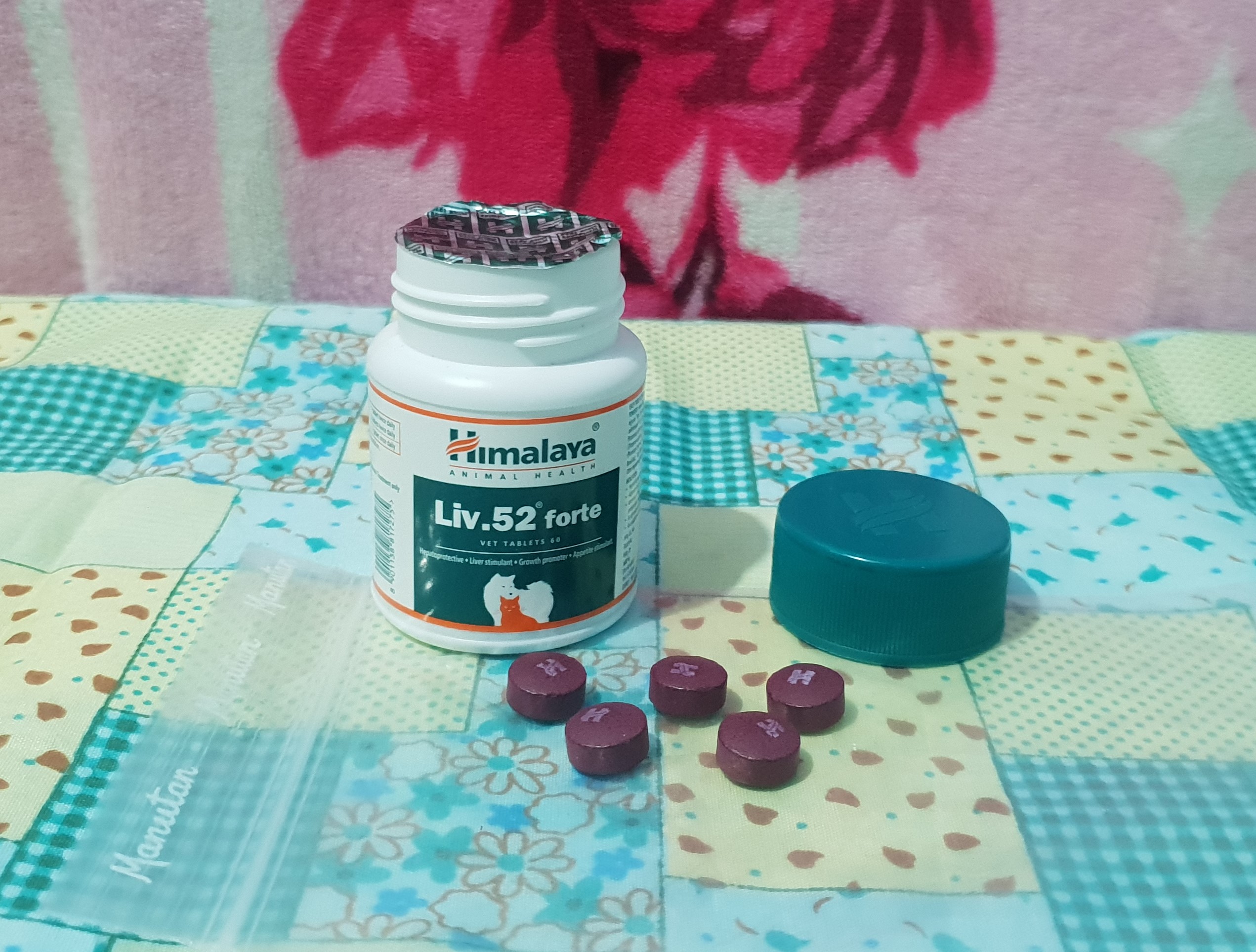 Himalaya Liv 52 Forte Vet Tablets for Liver Care of Dogs and Cats 1 pc ...