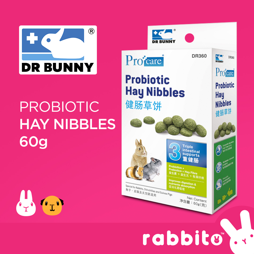 Dr. Bunny Procare Probiotic Hay Nibbles 60g treats for rabbits, guinea ...