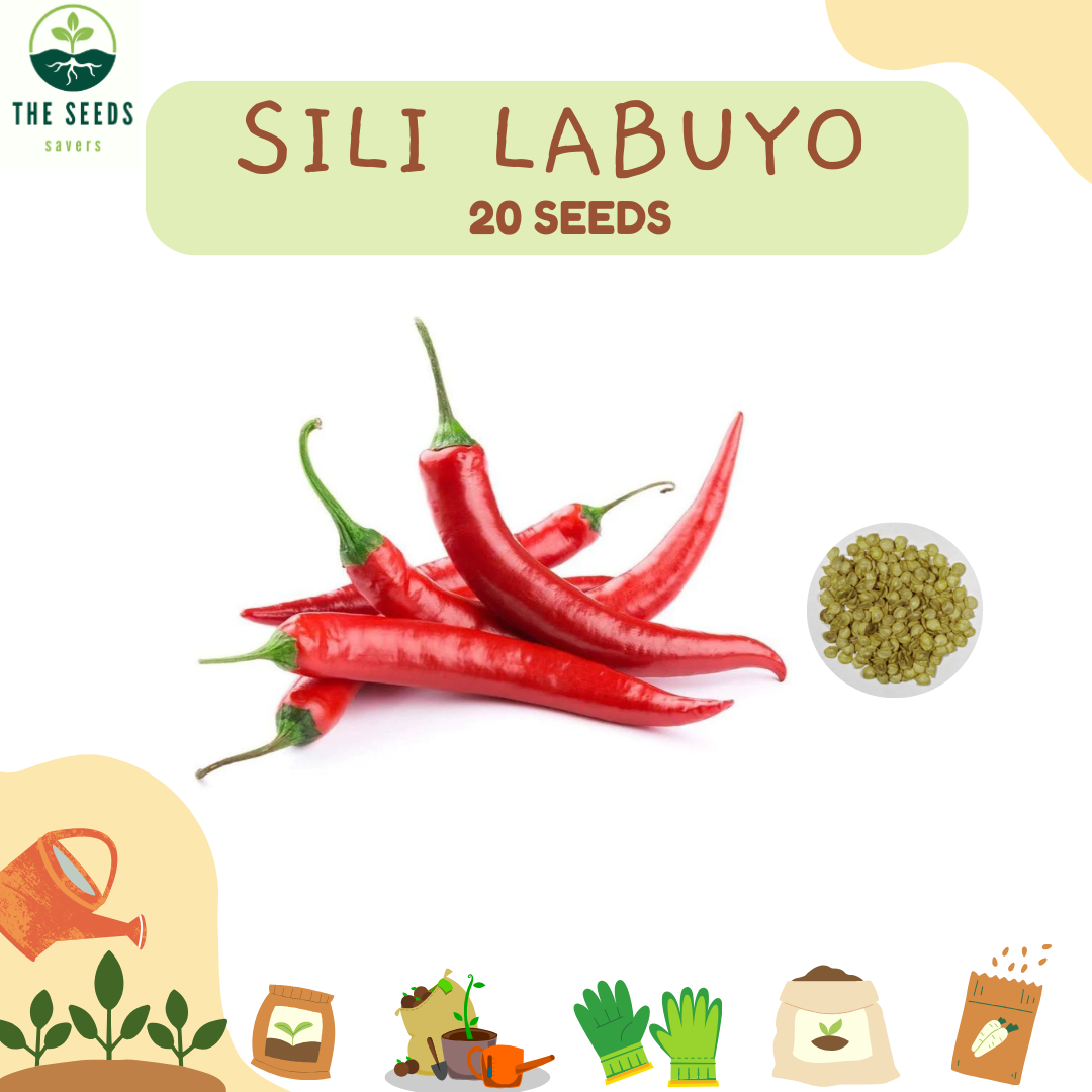 HOT PEPPER SEEDS - Labuyo Jalapeno Panigang Bell pepper | Lazada PH