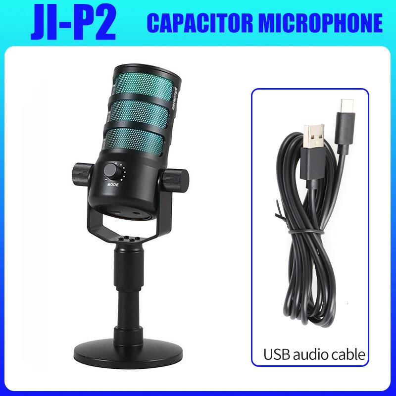 RAYHAYES USB Microphone Professional Recording Dubbing Condenser ...