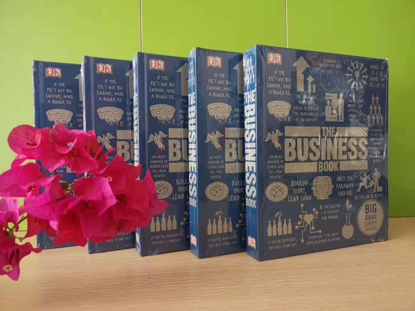 Hardcover Original DK books Big Ideas Simply Explained by DK children ...