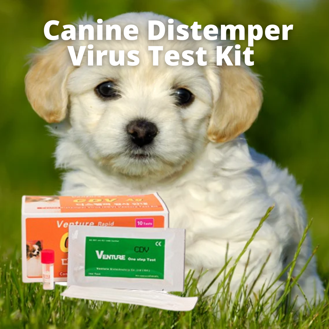 [MASKBUG] Canine Parvo Test Kit | Home Health Detection For Parvo | CDV ...