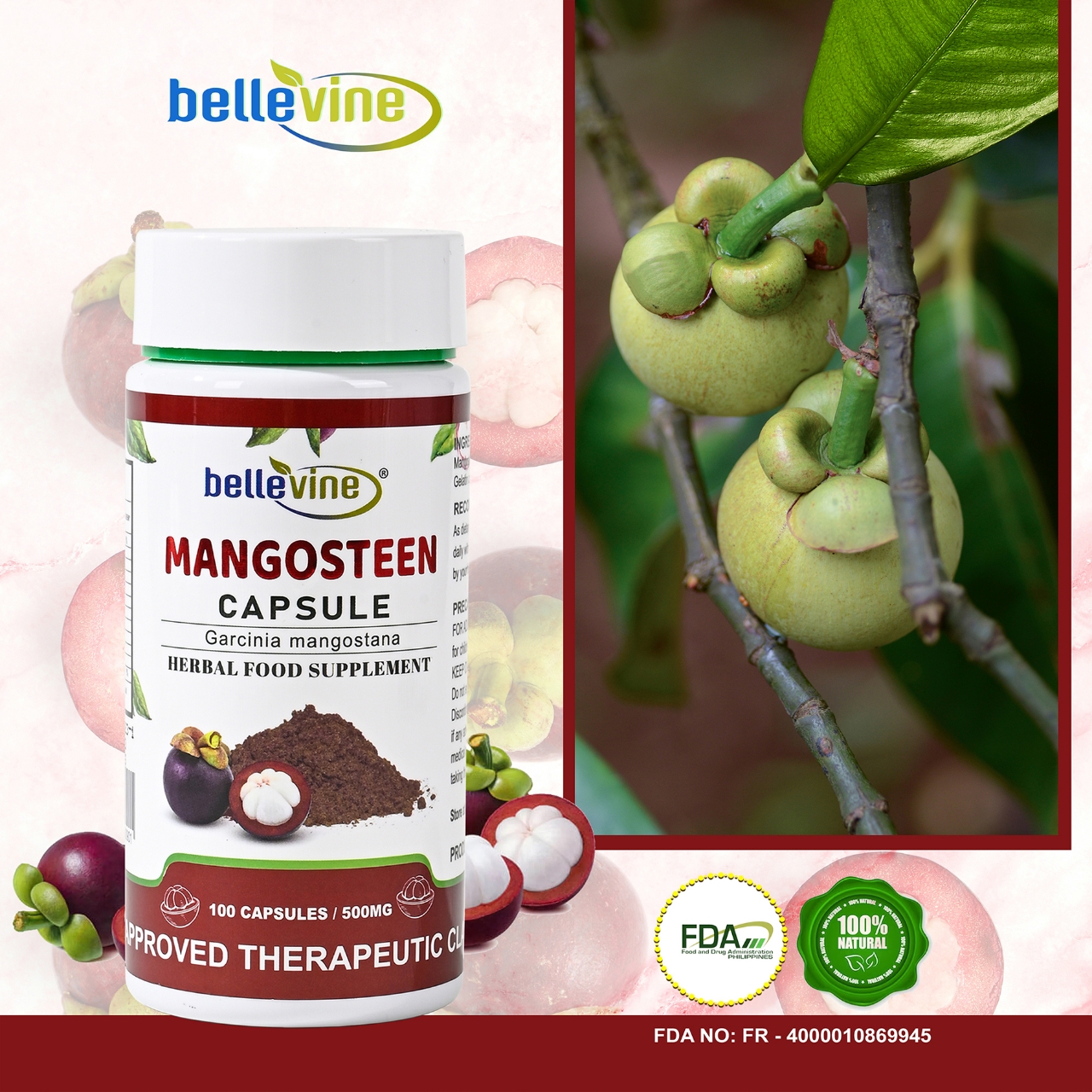 Mangosteen Food Supplement 100 Capsules | Lazada PH