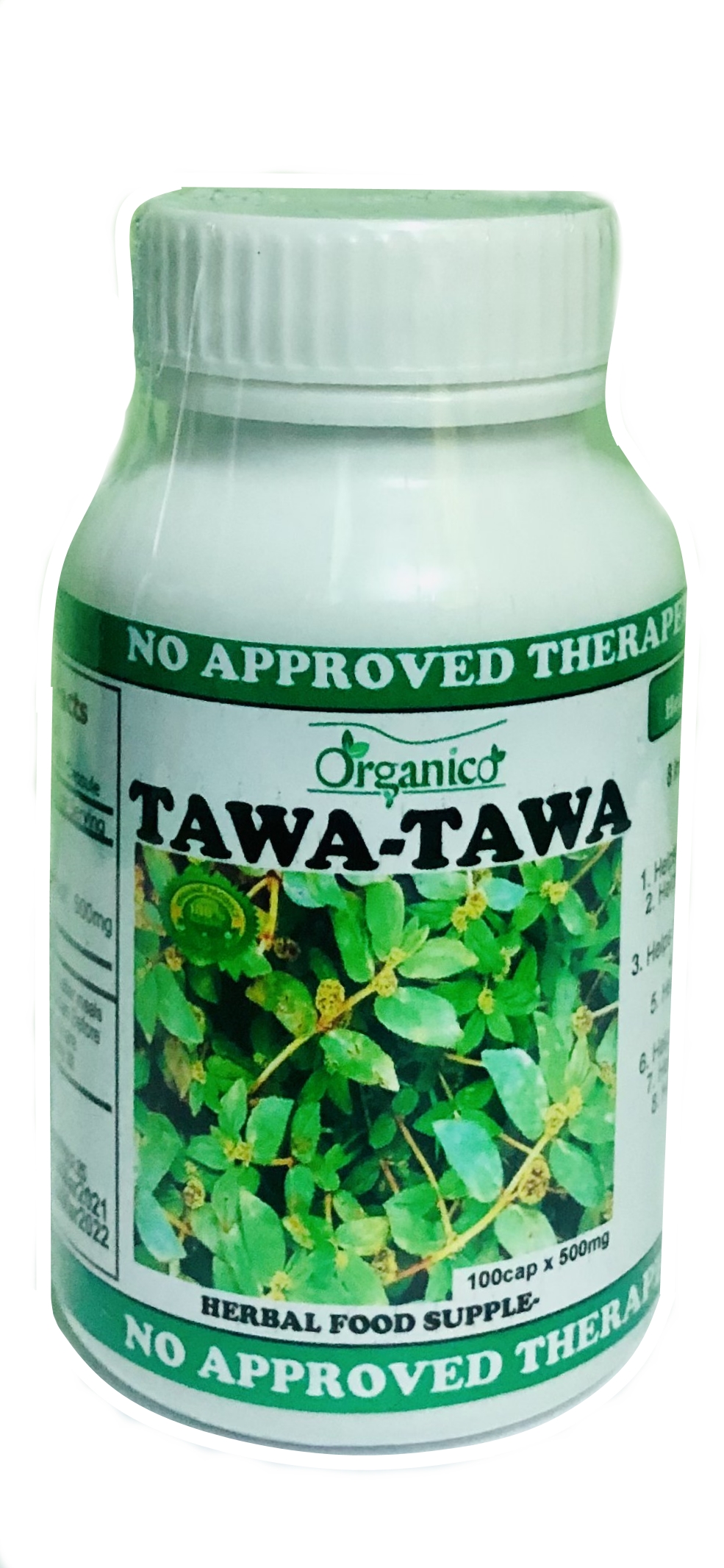 BestSelling TawaTawa Leaves (60cap x 500mg) | Lazada PH