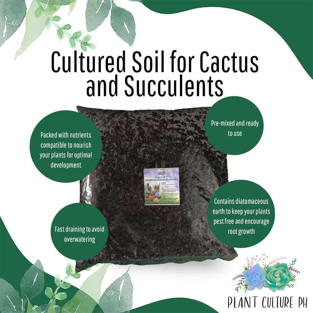 Cultured Soil for Cactus and Succulent by Plant Culture PH 5kg | CnS ...