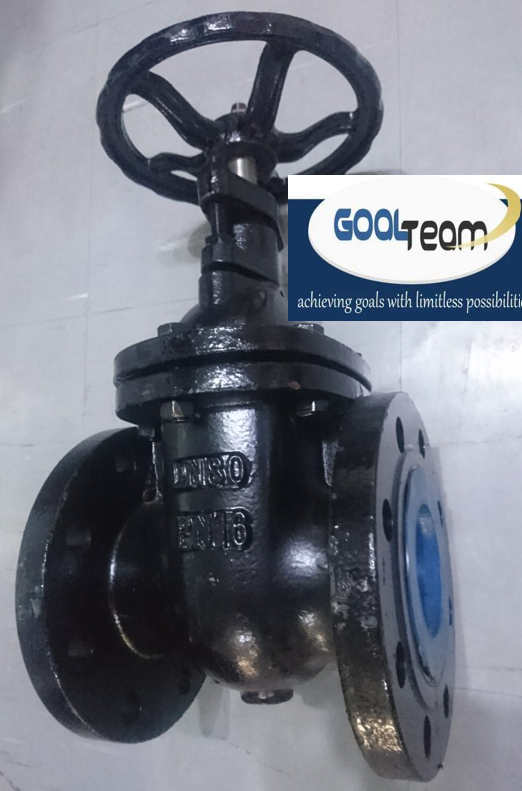 Gate Valve 3in (80mm) Flange Type | Lazada PH