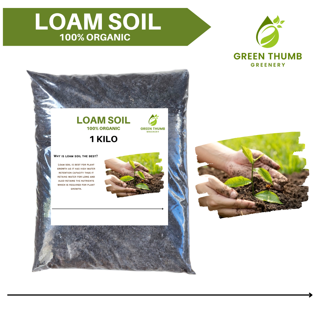 ORGANIC LOAM SOIL 1 KILO | Lazada PH