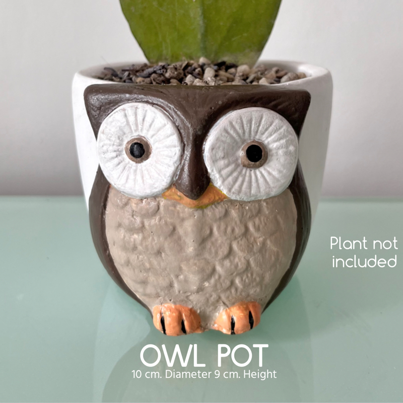 OWL POT - Concrete Pot with Drain Hole, Cute Pot, Cute Owl, Multi ...
