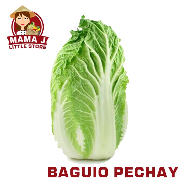 BAGUIO PECHAY 500g | Lazada PH