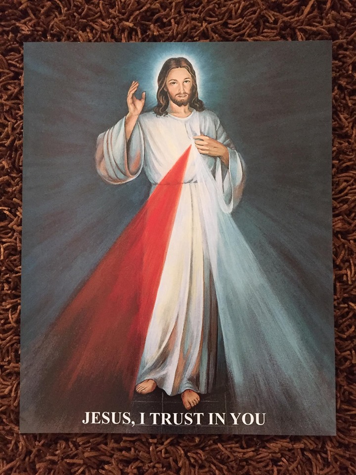 Divine Mercy Image Hyla | Lazada PH