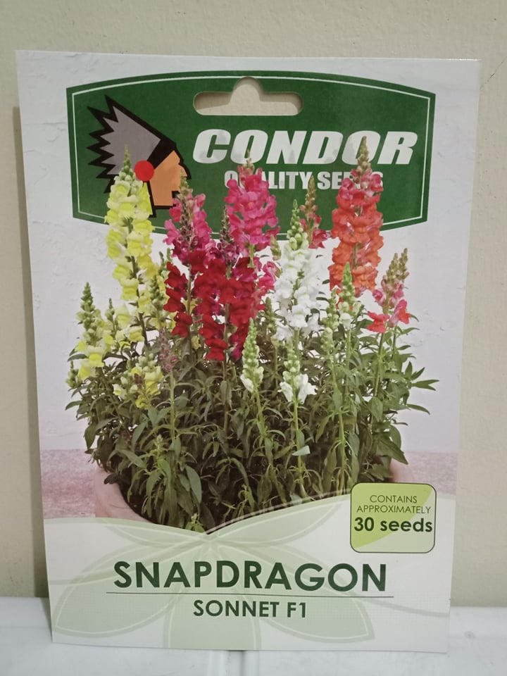 CONDOR Snapdragon Sonnet F1 Seeds | Lazada PH