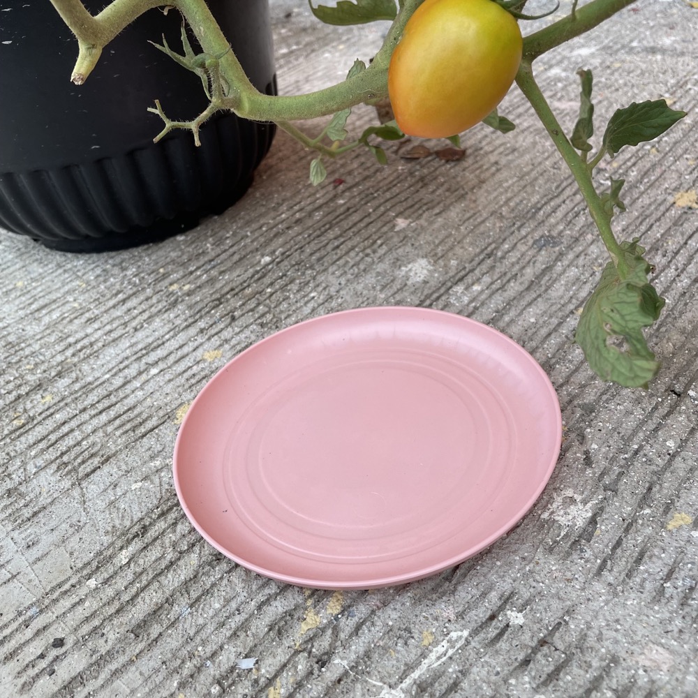 M&A PHC 1/6/12PCS (15cm) Side Dish Plate Flat Small Plate for Sauce and ...