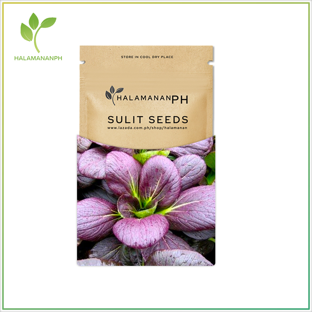 PECHAY - RED CHOI VEGETABLE SEEDS SULIT SEED PACK [Halamanan PH ...