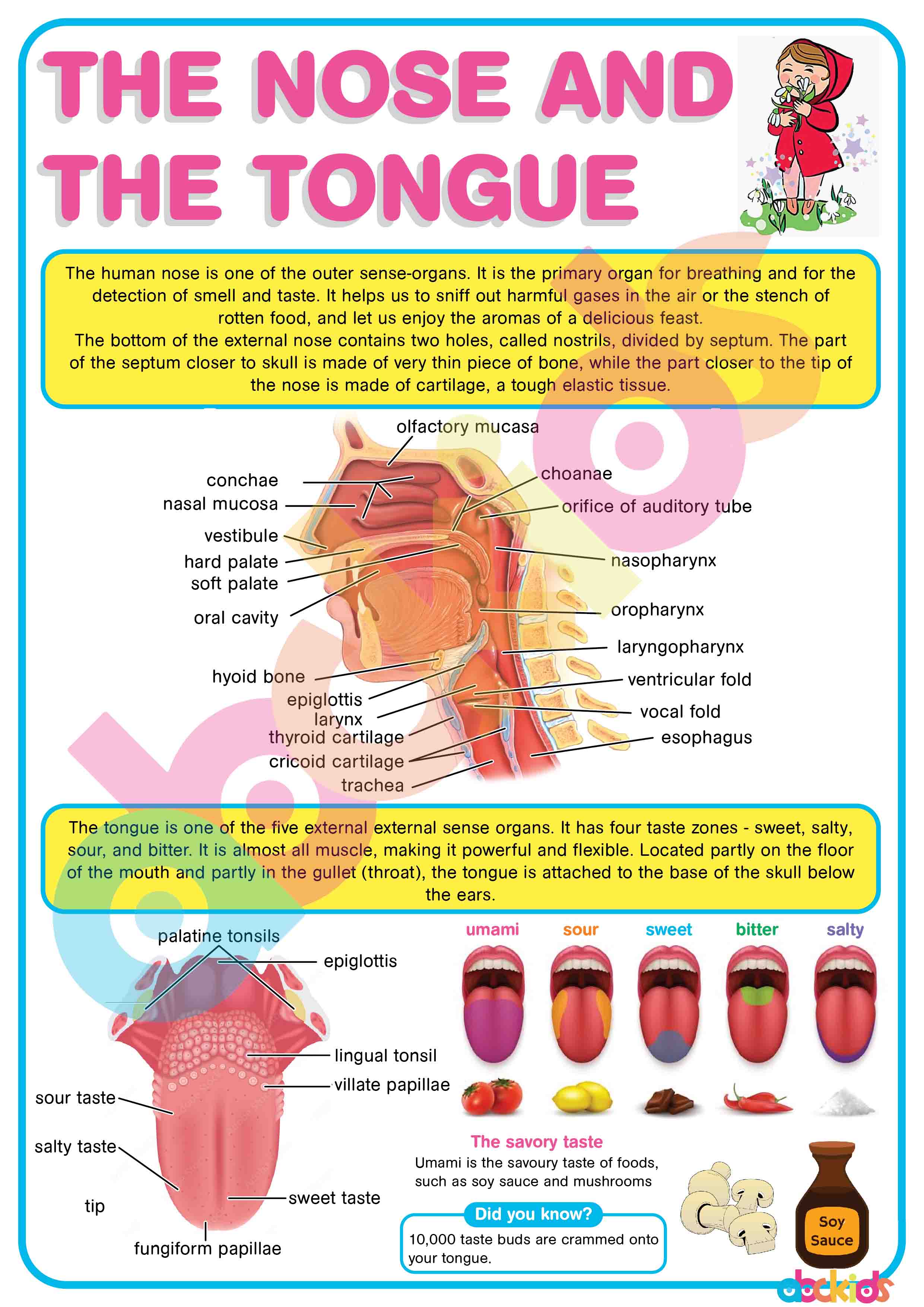 Science Learning Materials and Educational Charts For Kids | Lazada PH
