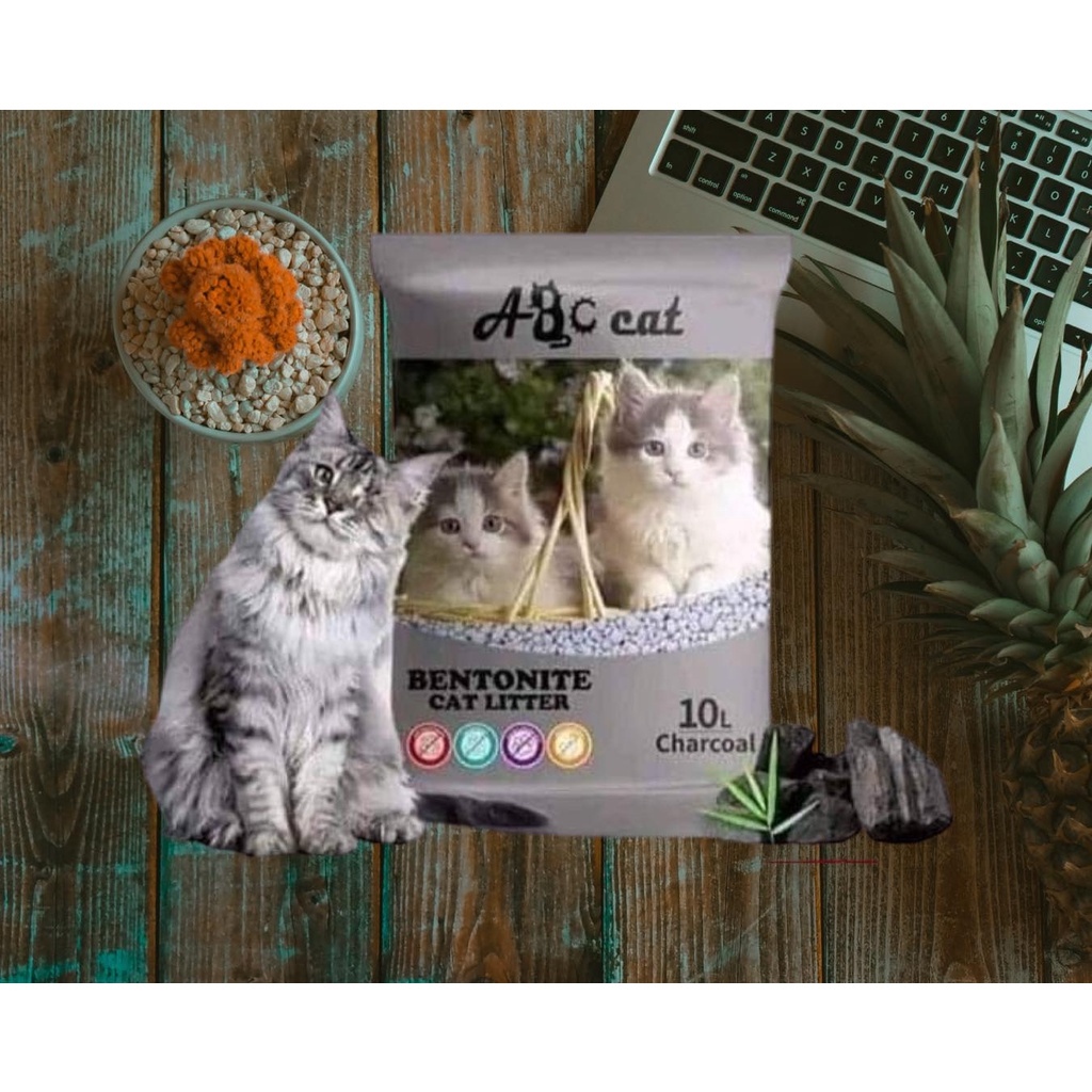 ABC Bentonite Cat Litter Sand 10 liters | Lazada PH