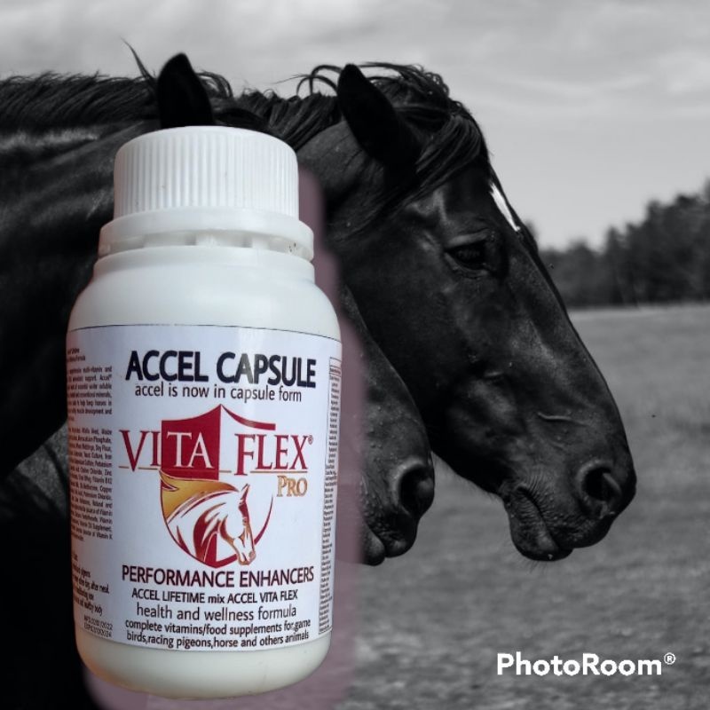 ☽Accel lifetime capsule/vitaflex pro for gamefowl/pigeons/etc | Lazada PH