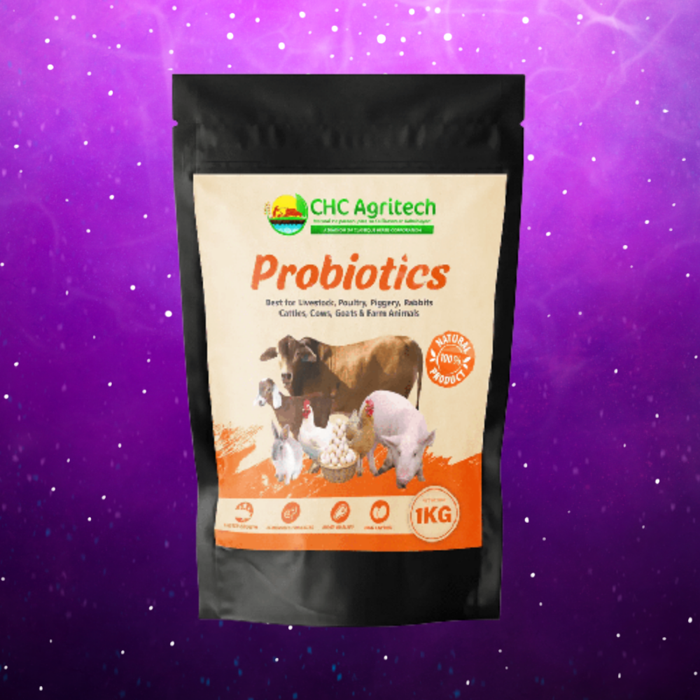 CHC JAPAN TECHNOLOGY PROBIOTICS 1KG 7 Billion CFU gram; Probiotic for ...