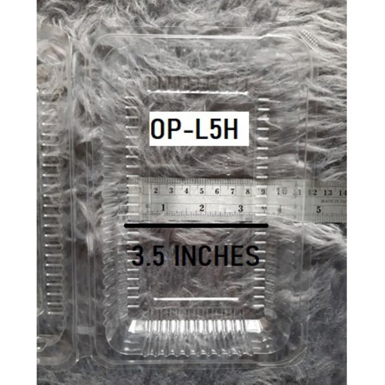 20pcs Container for Flan Pa d Rle Clamshell OP-L5H | Lazada PH