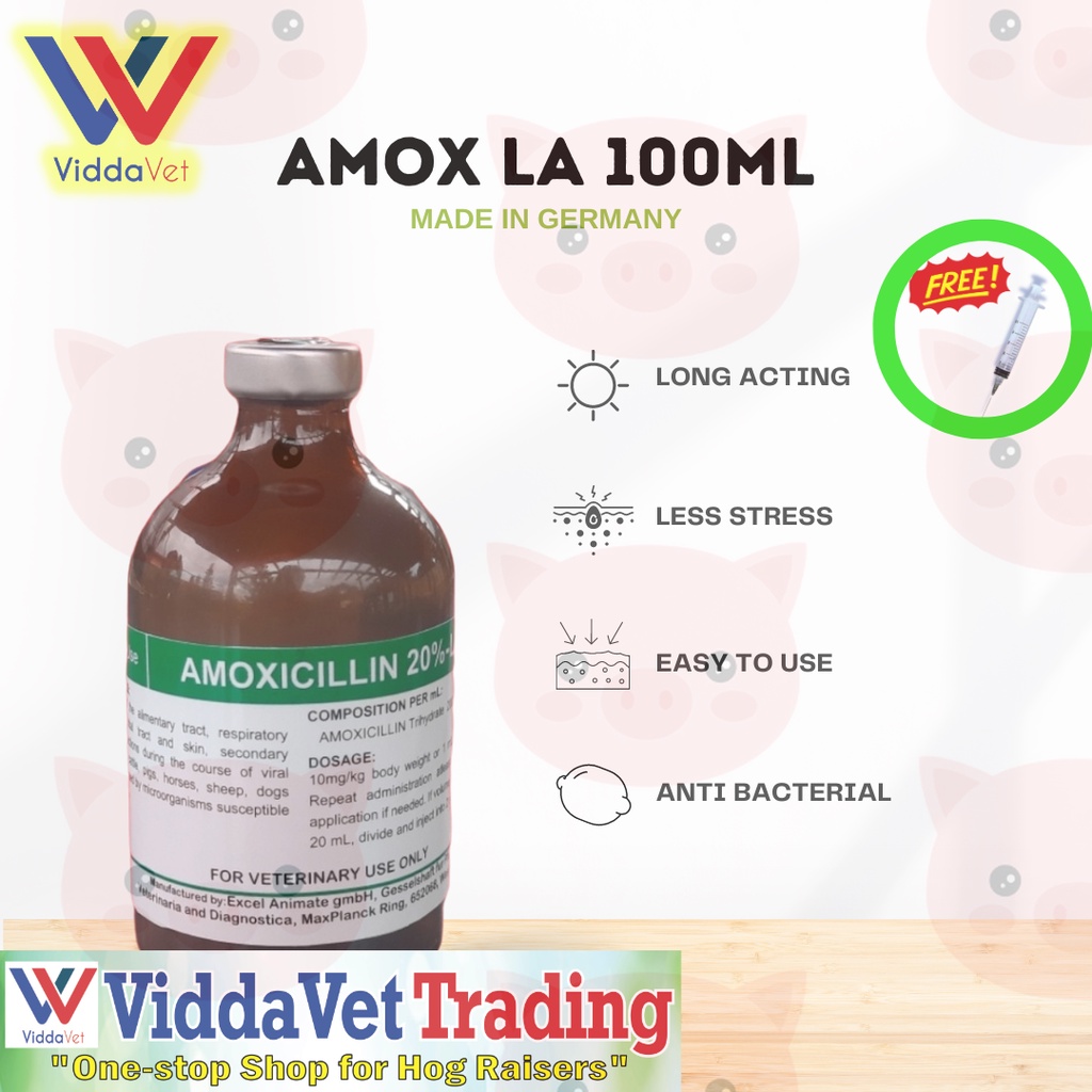 AMOXICILLIN 20% LA suspension 100ML /50ML/20ML INJ for animals made in ...