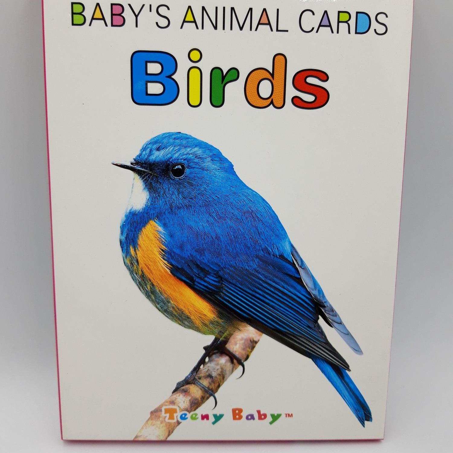 Baby's Animal Cards – Birds | Lazada PH
