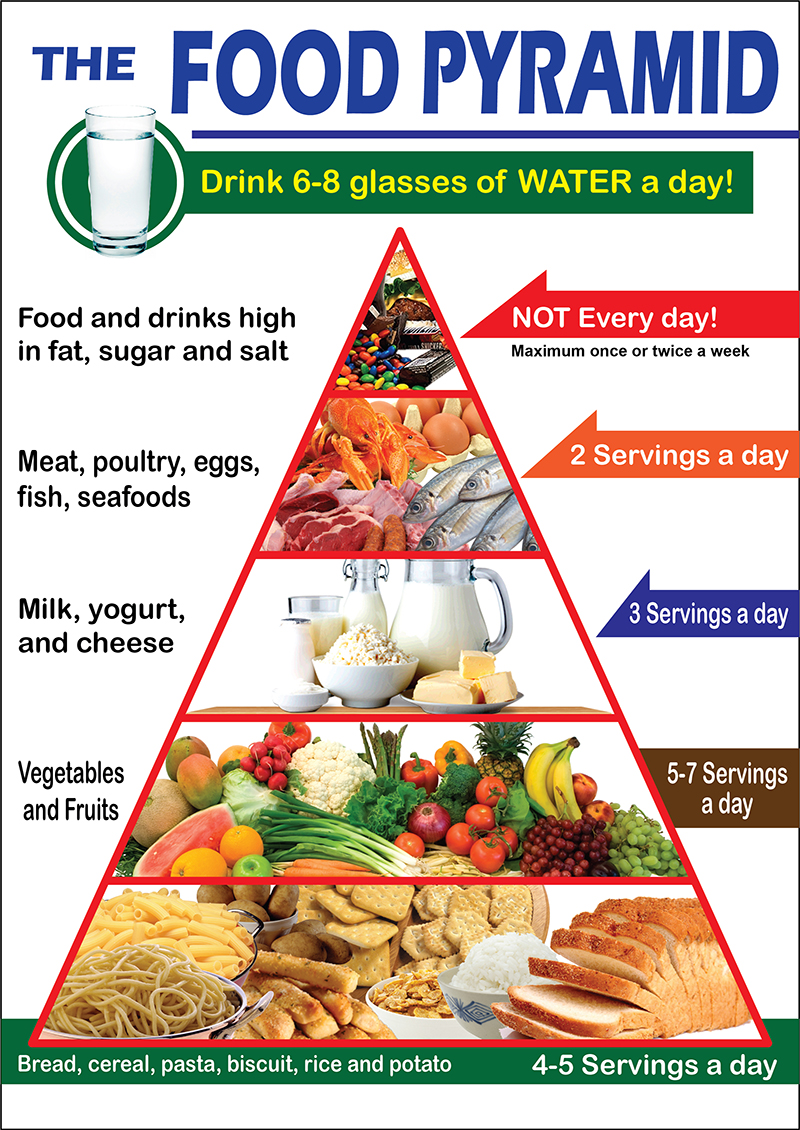Food Pyramid Educational Chart A4 Size Poster Waterproof Print Food Pyramid Educational Chart A4 Size Poster Waterproof Print
