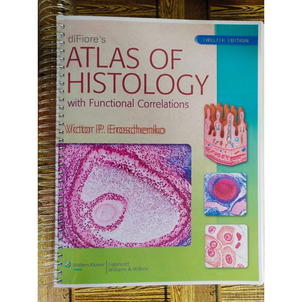 diFiore's Atlas of Histology with Functional Correlations 13th Edition ...