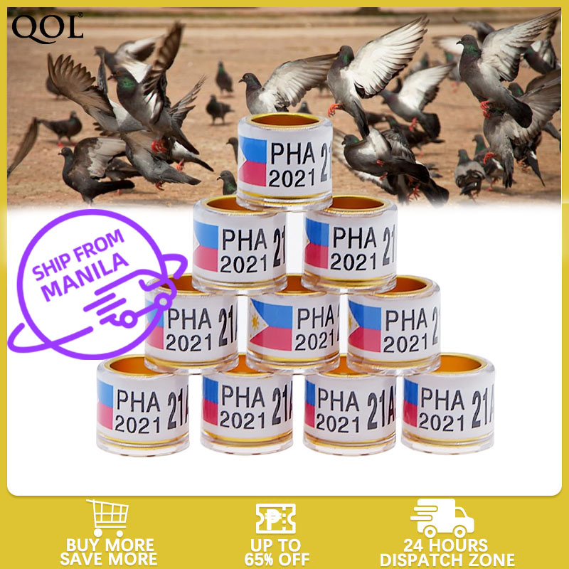 Pigeon Racing Pha