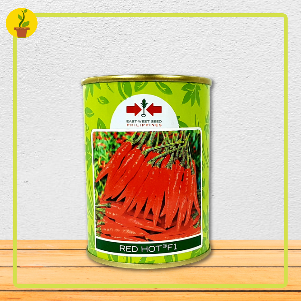 Hot Pepper Seeds (Red Hot F1 Variety) [25 Grams Can] - Eastwest By ...